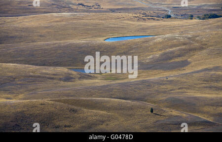 Mackenzie country. Newzealand Stock Photo - Alamy