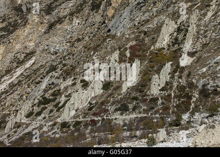 Bhojbasa. Gangotri National Park. Uttarakhand. India Stock Photo - Alamy
