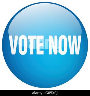 vote now blue round gel isolated push button Stock Vector Image & Art ...
