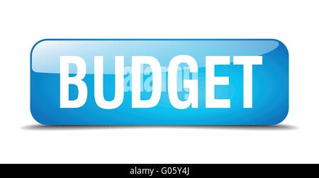 budget blue square 3d realistic isolated web button Stock Vector Image ...