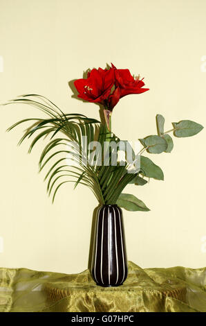 Bouquet of red Amaryllis (Amaryllidaceae), plant genus St. Joseph's ...