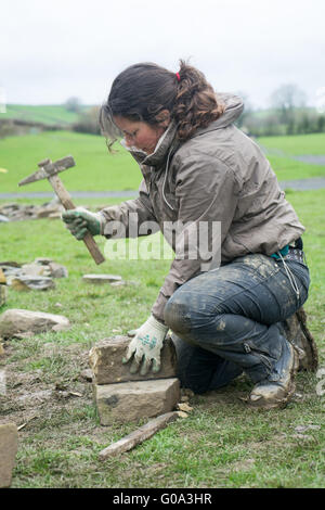 female apprentice construction worker Stock Photo - Alamy