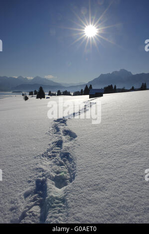 Winter Landscape Sunny Day Snowshoe Track Hiking Trail. Rocky Mountain ...