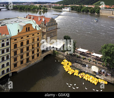 Birds and animals on Vltava river in Prague Stock Photo - Alamy