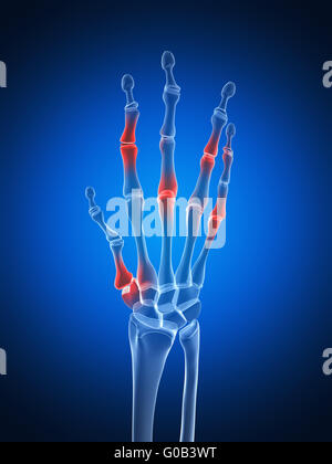 Anatomy of the hand, illustration Stock Photo - Alamy