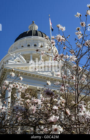 Spring Flowers at the California State Capitol in Sacramento Stock ...