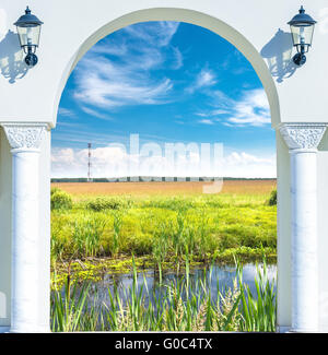 tree, sunshine, meadow, grass, lawn, green, shaddow, shadow, forest ...