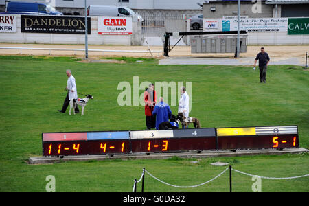 Departure of Greyhound racing, Shelbourne Park Greyhound Stadium ...
