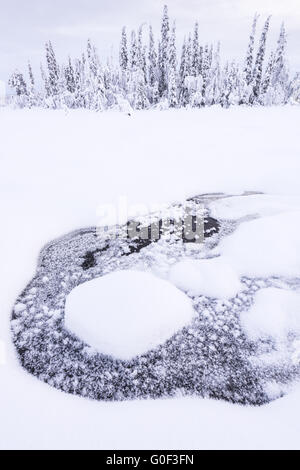 Winter marsh landscape, Muddus National Park, Laponia World Heritage ...