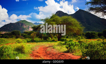 Red ground road, bush with savanna. Tsavo West, Kenya, Africa Stock ...