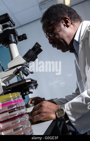 Microbiologist scientist looking through microscope and concentrating ...