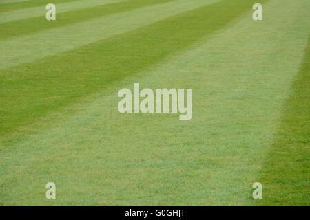 Immaculate Mowed Lawn Stock Photo - Alamy
