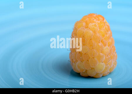 Amazing detail of ripe orange raspberries Stock Photo - Alamy