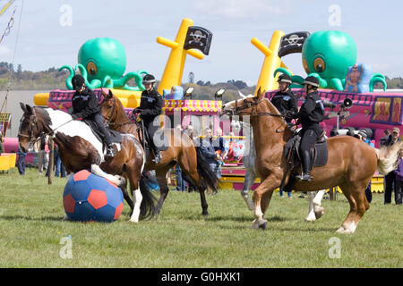 Mounted police demonstrating the use of a crowd control training ball ...