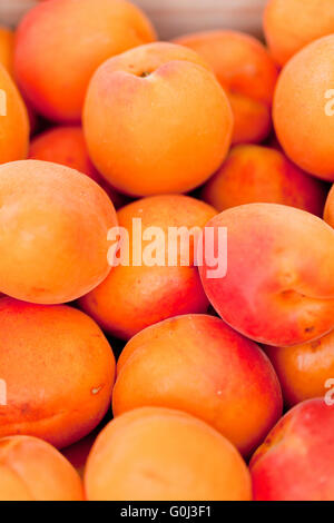 fresh orange red apricots peaches macro closeup on market summer Stock ...