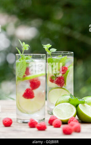 Raspberry and lime in ice cubes top view flat lay Stock Photo - Alamy