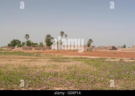 Village in sahel landscape in Mali, Africa Stock Photo - Alamy