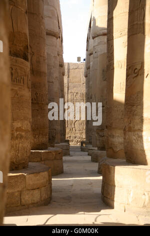 big stone columns with carving figures and hieroglyphs in landmark ...