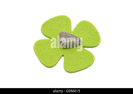 Cipolin on felt Stock Photo - Alamy