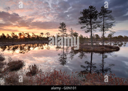 Moor at sunrise in spring, moor pond near Oberstdorf, behind it the ...