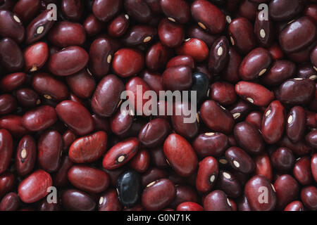 Red beans or adzuki beans Stock Photo - Alamy