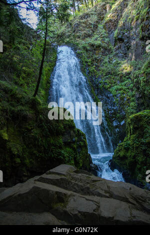 Susan Creek Falls, Oregon Stock Photo - Alamy