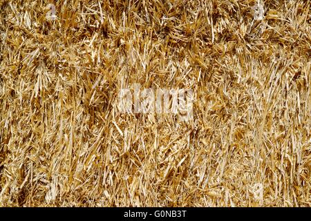 Background created with straw bales stacked Stock Photo - Alamy