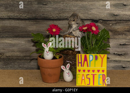 Spring celebration squirrel as cute happy wildlife wearing a green ...