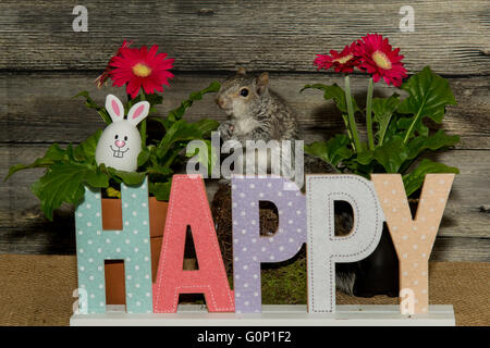 Spring celebration squirrel as cute happy wildlife wearing a green ...