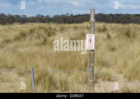 Signs marking the tern (bird) nesting area on the beach at John Muir ...