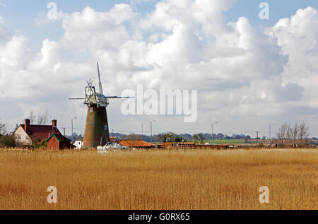 the marsh at acle Stock Photo - Alamy