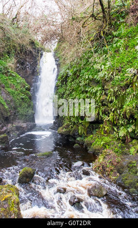 Cranny falls near Carnlough Northern Ireland Stock Photo - Alamy