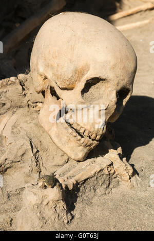Bones & skeletons, skulls and dead peoples bodies; the victims at Roman ...
