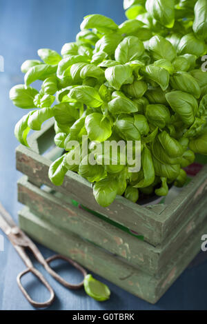 green basil in a wooden box. High quality photo Stock Photo - Alamy