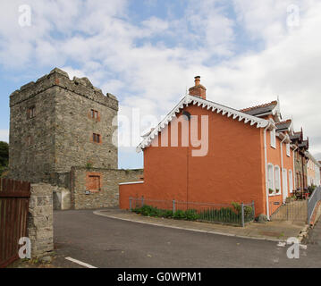 Strangford Castle in the village of Strangford, County Down, Northern ...