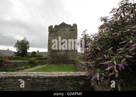 Strangford Castle in the village of Strangford, County Down, Northern ...