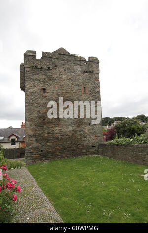Strangford Castle in the village of Strangford, County Down, Northern ...