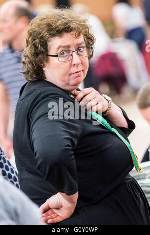 Llanelli, Wales, May6, 2016: Helen Mary Jones prepares to give an ...