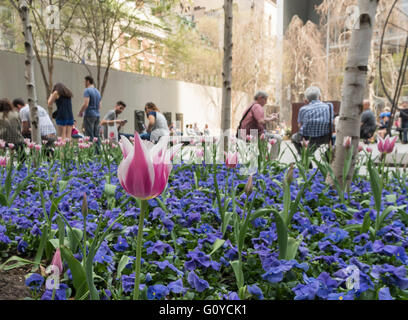 The Abby Aldrich Rockefeller Sculpture Garden, MoMa The Museum of Stock ...
