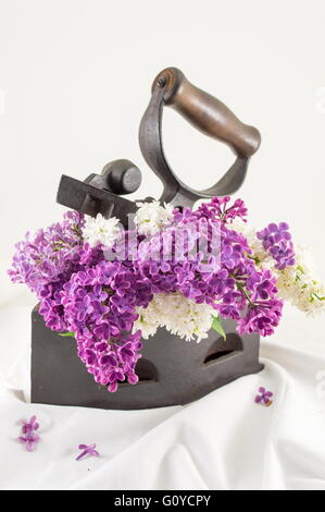 White Lilac flowers bouquet against dark wooden background Stock Photo ...