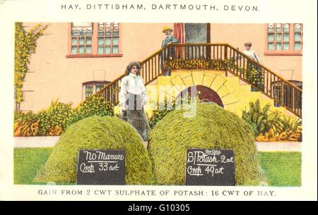 Advertising postcard for Kainit Fertiliser or Potash Salts Stock Photo ...