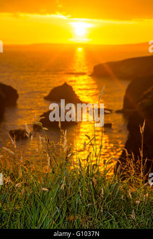 Tall Kerry Cliffs with a view on Great Skellig or Skellig Michael and ...