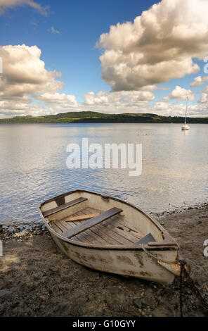 Inchmurrin Island in Loch Lomond, Scotland Stock Photo - Alamy