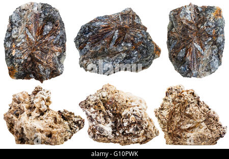 set of crystalline Fibrous aggregates of astrophyllite and ...