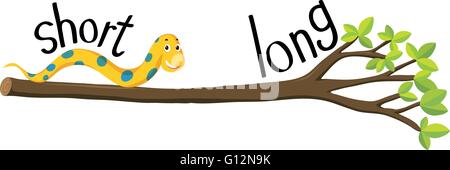 Opposite adjectives long and short illustration Stock Vector Image ...