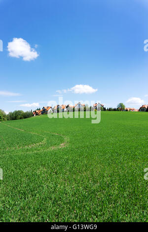 A vertical shot of a green field with beautiful shrubs and trees ...