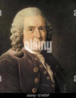 Carolus Linnaeus 1707 1778 Swedish Naturalist Stock Photo: 22038328 - Alamy