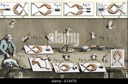 Luigi Galvani Frog Experiments, 18th Century Stock Photo - Alamy