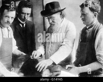 Ilya Ilyich (Eli) Mechnikov (1845-1916), Russian biologist, at work in ...