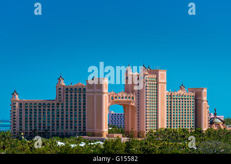 Atlantis - Bahamas with palm tree in natural light Stock Photo - Alamy